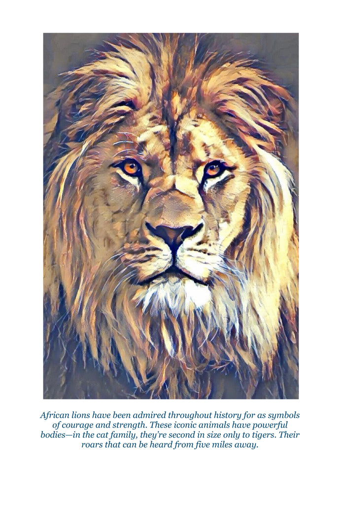 Lion Colouring Page Digital Download – Ross Art and Craft