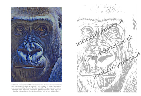 Gorilla Colouring Page – Ross Art and Craft