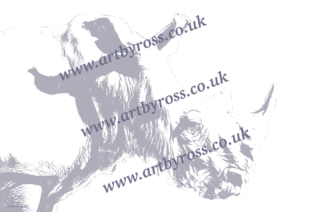 Rhino Colouring Page Digital Download – Ross Art and Craft